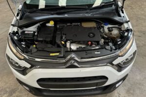 Quels sont les défauts de la nouvelle C3 ? - Nexyo